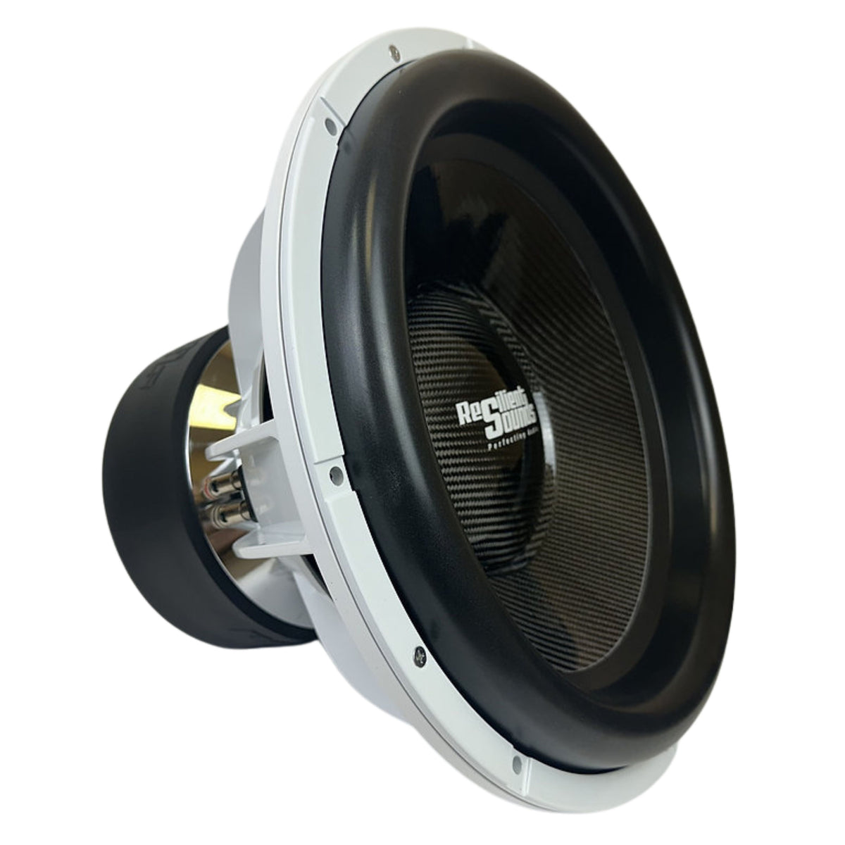 Resilient Sounds V2 Platinum 18" 2500W RMS Dual 2Ω Subwoofer — Big Jeff ...