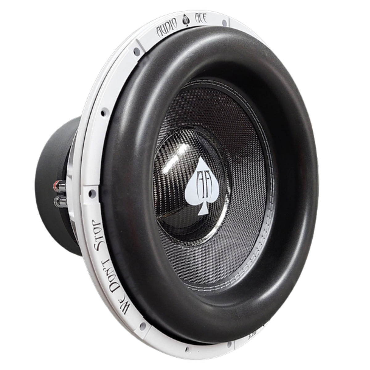 15" 3000W RMS Dual 2Ω Subwoofer | Audio Ace Jester v3 Pro Car Audio ...