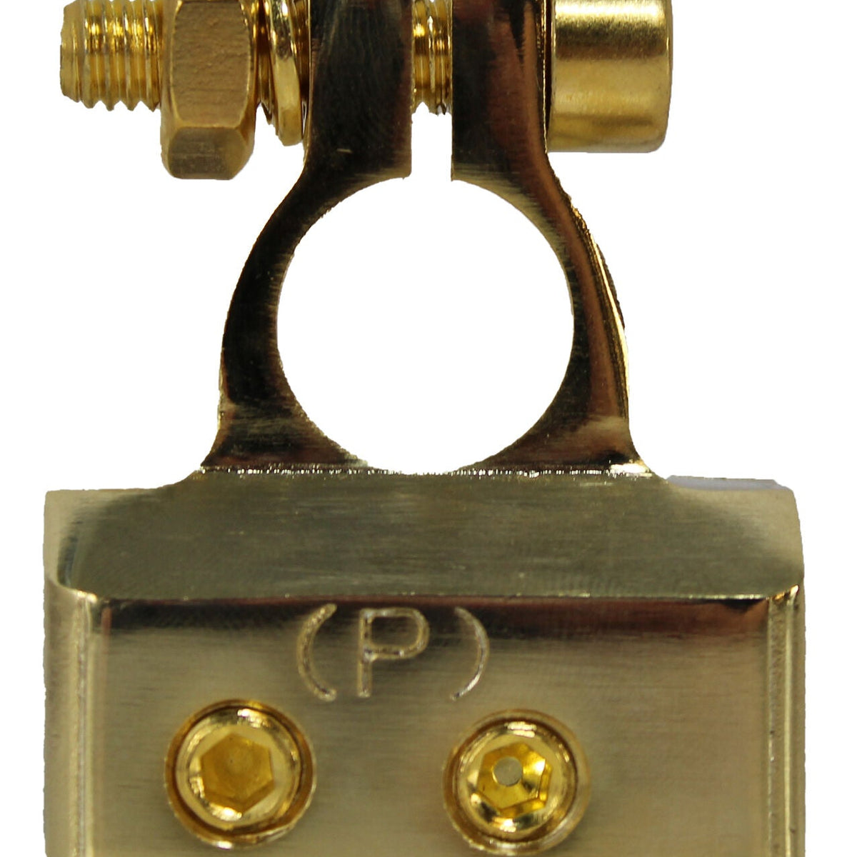 Raptor Pro Series Gold Plated 1/0 or 4AWG to 8AWG Positive Terminal ...