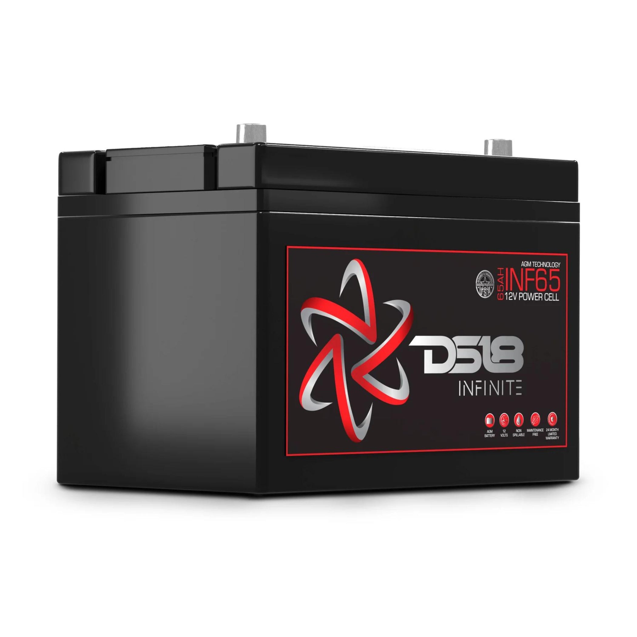 DS18 12V 65 AH 2000 Watts AGM Battery Group 24 Non Spillable Infinite ...