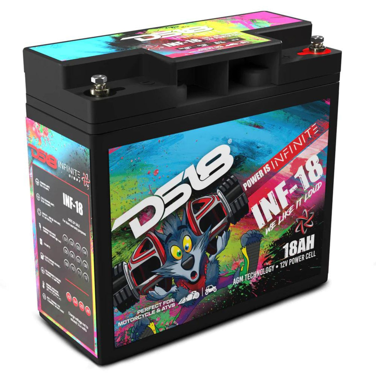 DS18 12V Battery 18 AH 750 Watts AGM 270 Amps Non Spillable INFINITE I ...